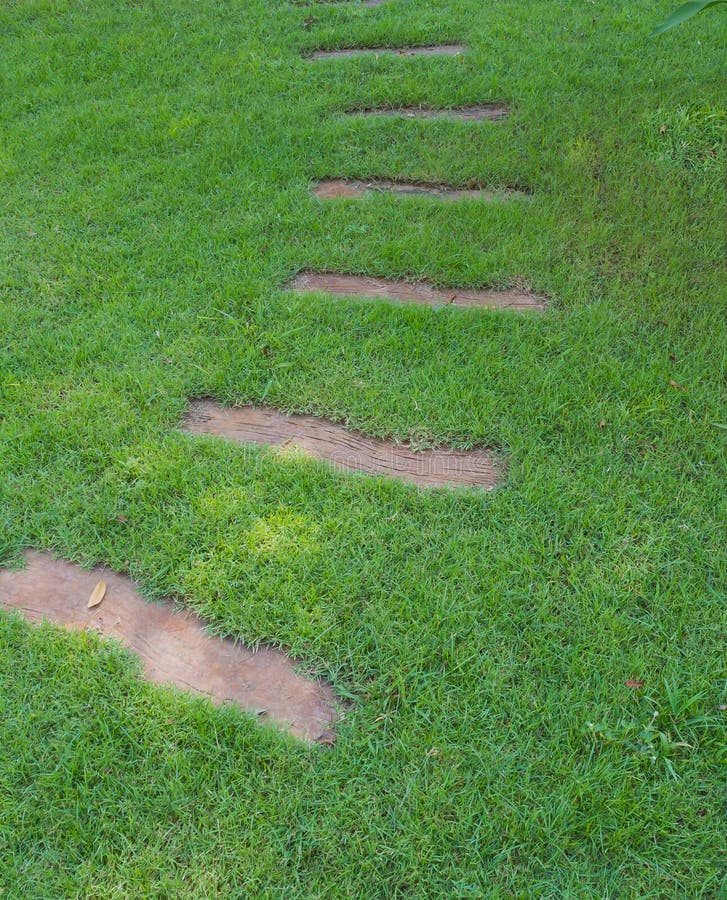 Walkway stock photo. Image of natural, design, lawn - 134682772