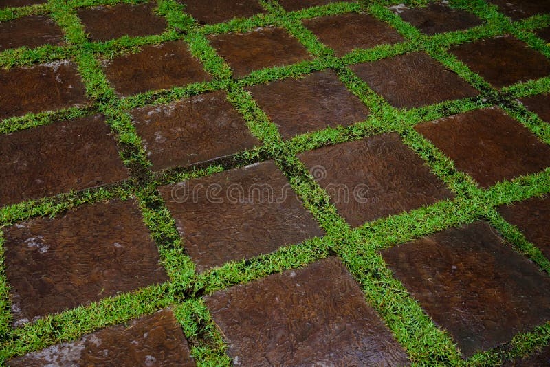 Walkway on Green Grass at Garden, a Path, Walkway from the Park,Some ...