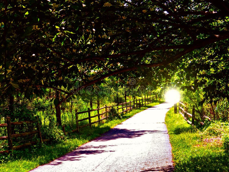 Light at the End of a Path in a Meadow Stock Image - Image of path ...