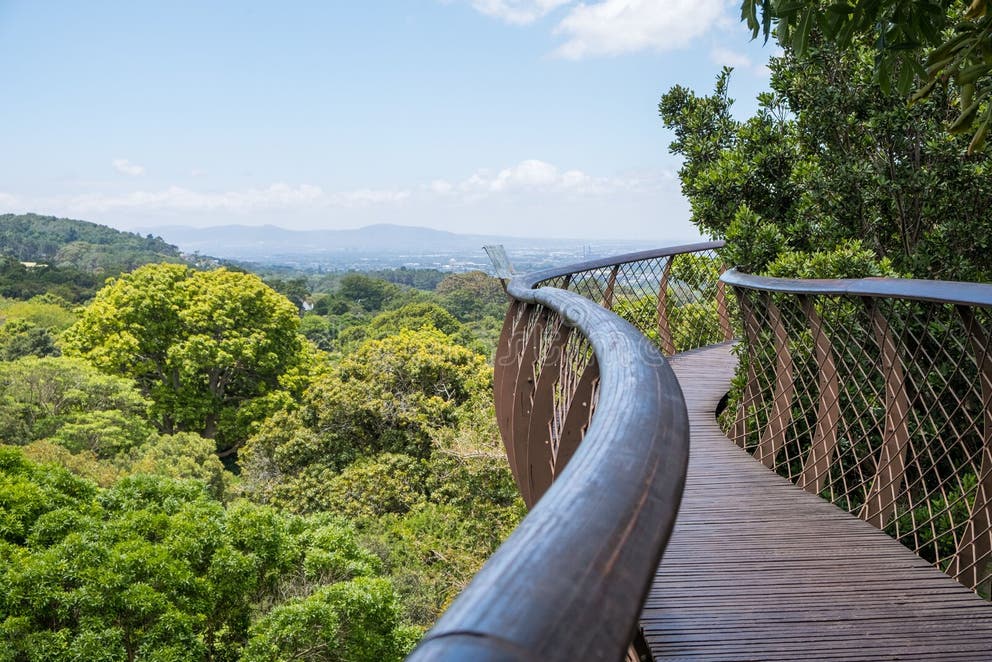 Walkway on the Hillside in the Green Park Stock Photo - Image of ...
