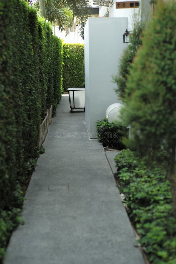 The Walkway Inside the Resort Along with the Bush Stock Photo - Image ...