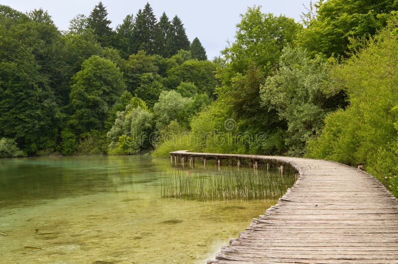 Walkway at the lake. stock image. Image of lake, path - 20228409