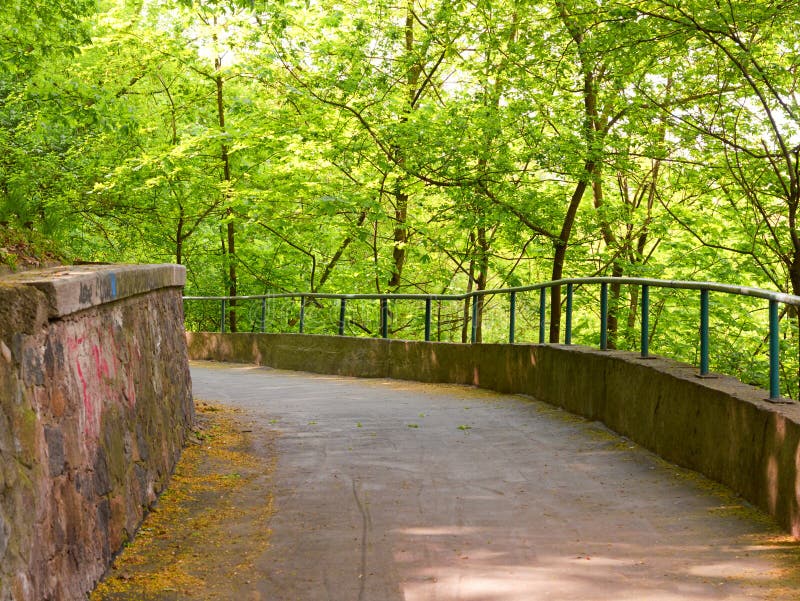 Walkway Lane Path with Green Trees Stock Image - Image of green, path ...