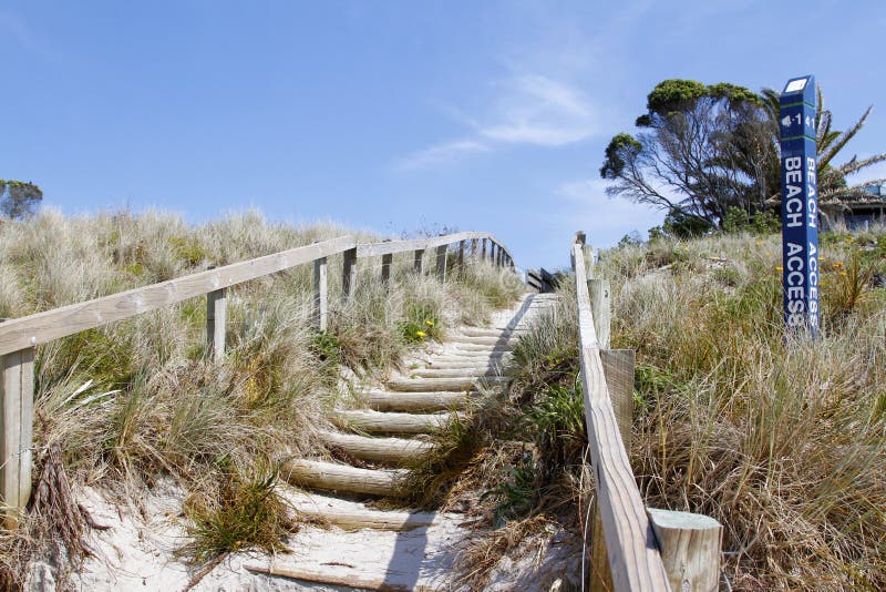 Walkway stock photo. Image of dunes, summer, trail, holiday - 42769406