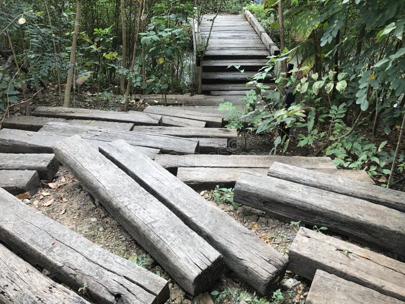 1,053 Log Walkway Stock Photos - Free & Royalty-Free Stock Photos from ...