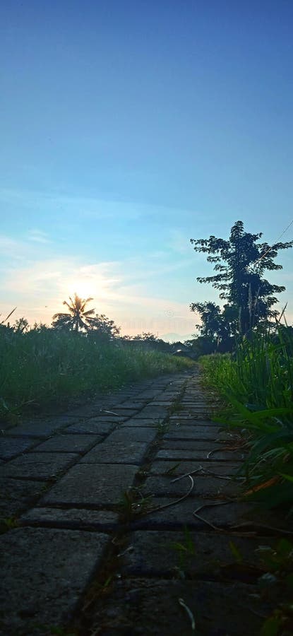 Walkway on a Lonely Morning Stock Photo - Image of sunlight, ricefield ...