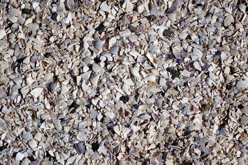 Crushed Shell Sidewalk stock photo. Image of sand, ocean - 29940582