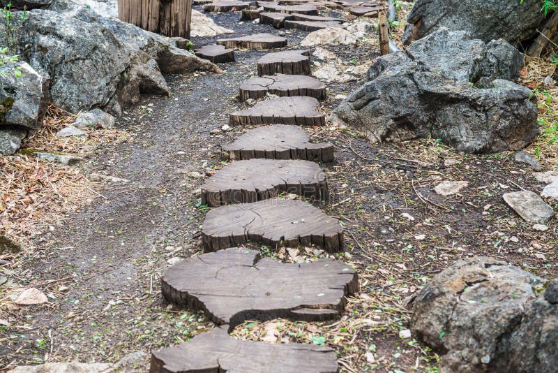 811 Log Walkway Photos - Free & Royalty-Free Stock Photos from Dreamstime