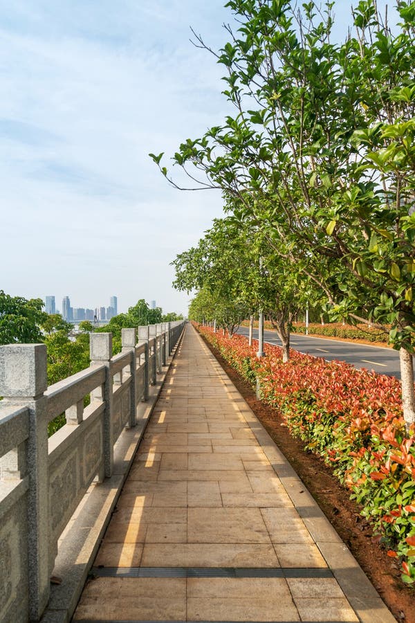 Walkway in the modern city stock image. Image of road - 286948587