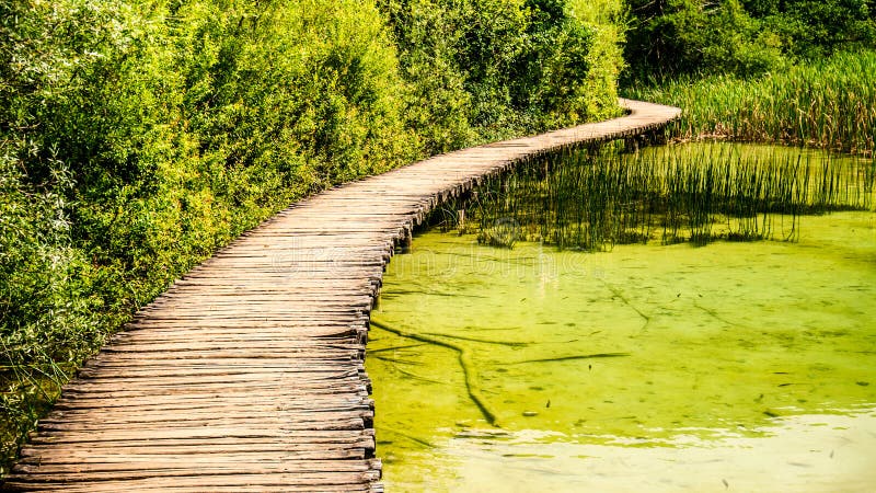 Walkway Over Beautiful Lake Stock Photo - Image of plitvicka, beautiful ...