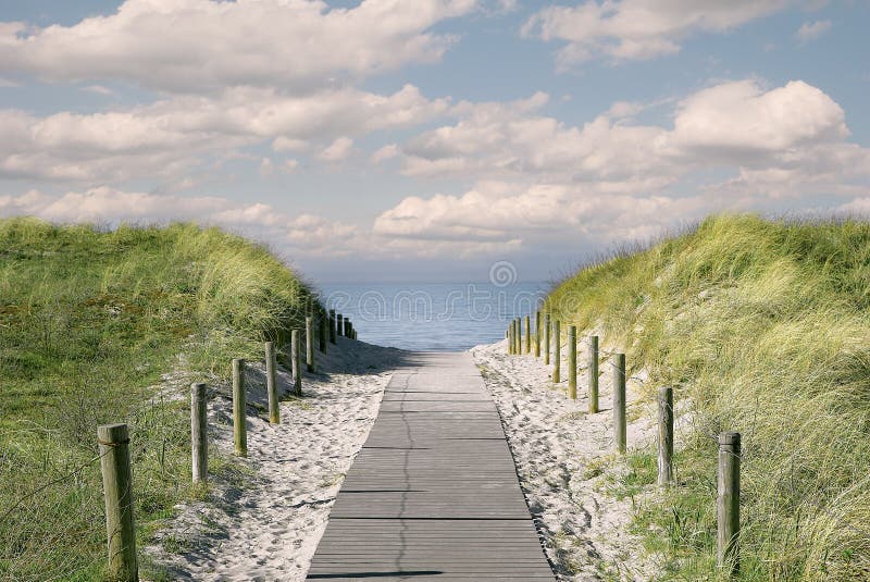 Walkway in the dunes stock image. Image of grasses, dunes - 225074307