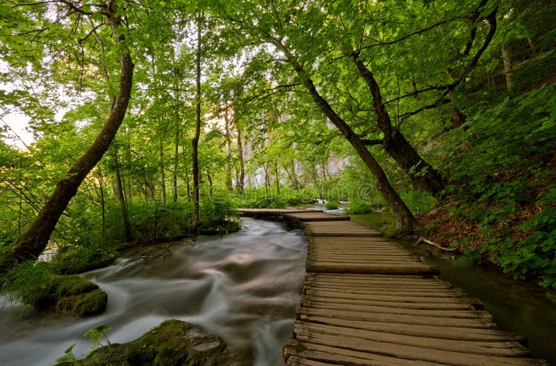 Walkway Over Streaming Water. Stock Photo - Image of foliage, stream ...