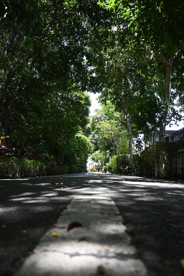 Walkway within Park Around with Trees Stock Image - Image of road ...