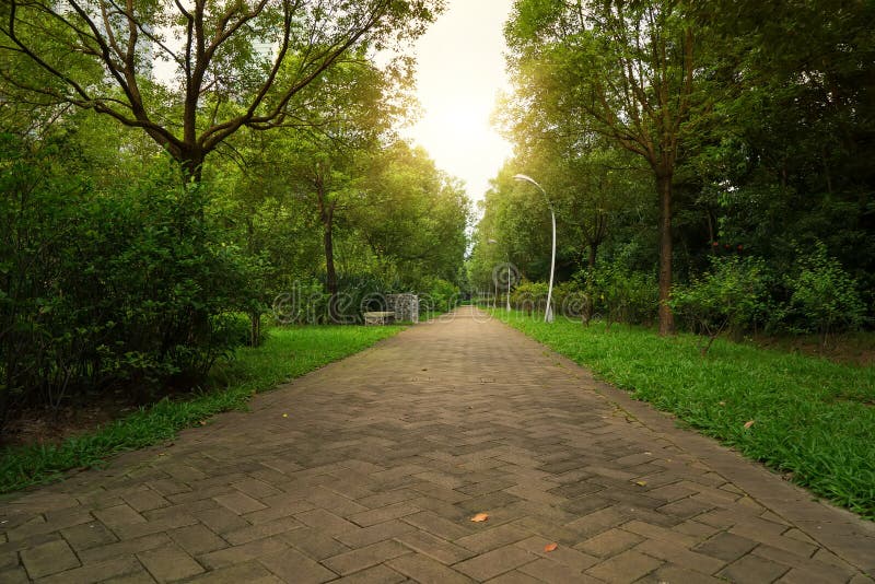 Walkway in Park stock photo. Image of environment, flower - 55360366