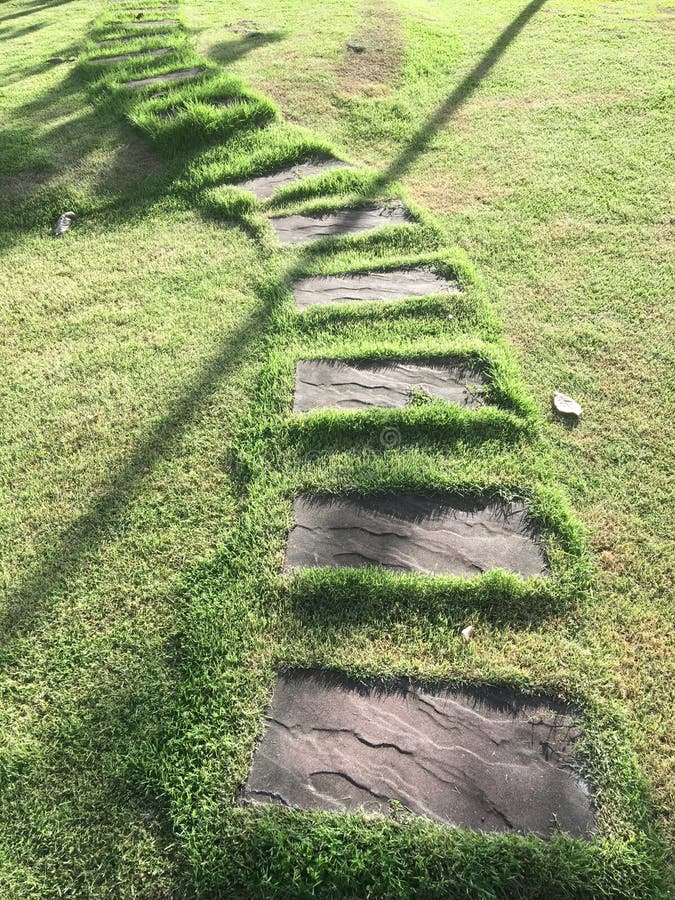 Walkway in the park. stock image. Image of garden, human - 72914011