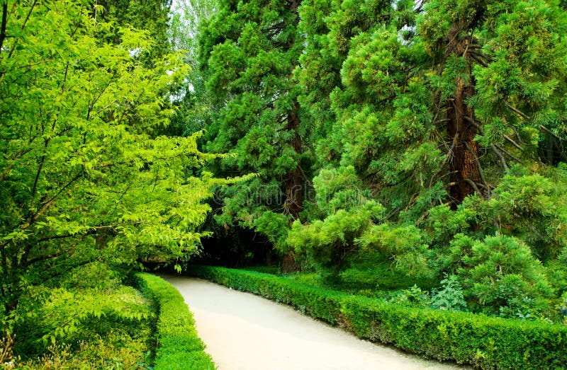 Walkway in Park Landscape stock photo. Image of garden - 29558784
