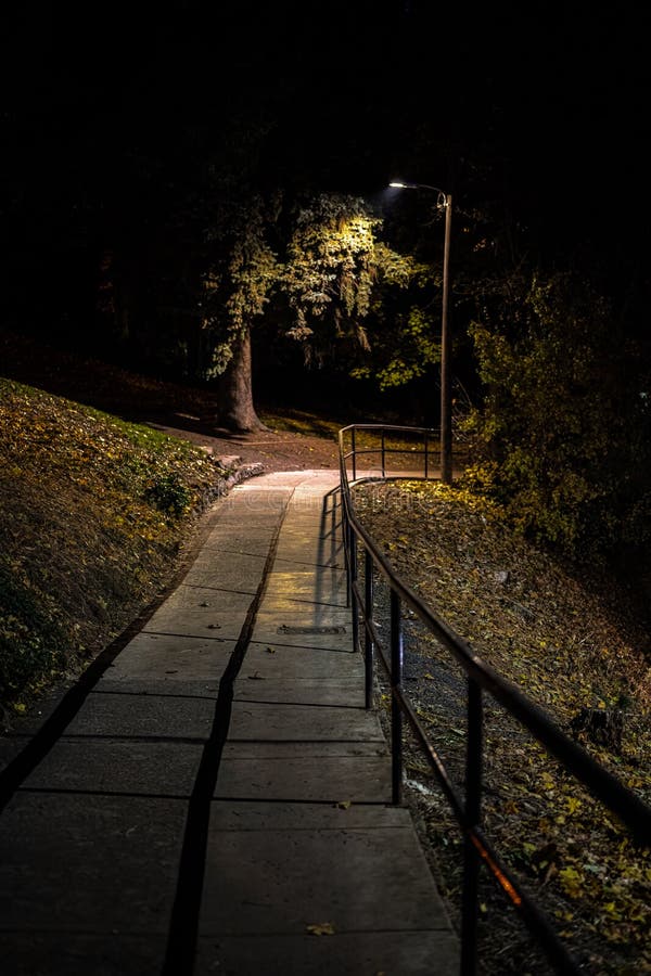 Walkway in a Park stock photo. Image of step, landscape - 267017214