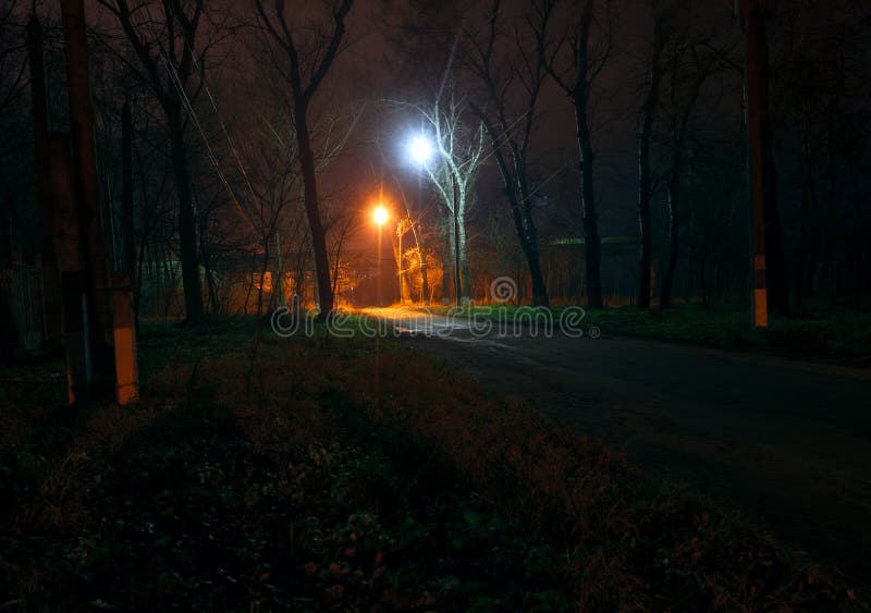 Walkway through a Park at Night Stock Image - Image of idyllic, nature ...