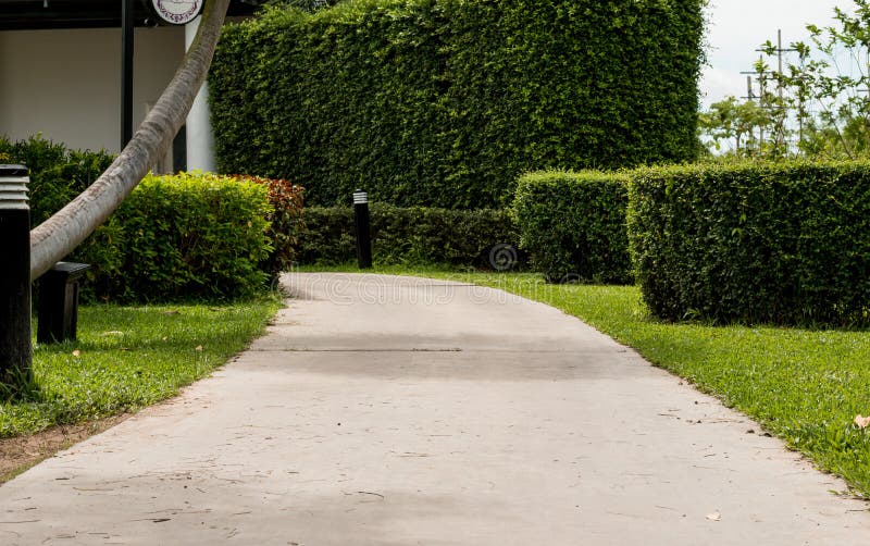 Walkway in the park stock photo. Image of bright, path - 116334128
