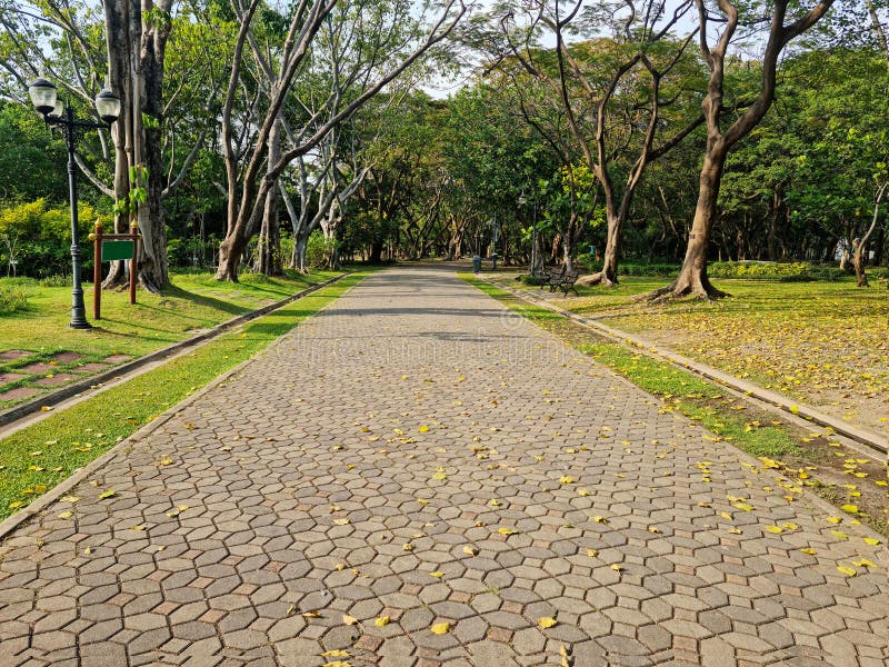 Walkway in the Park on Both Sides are Gardens and Trees Stock Photo ...