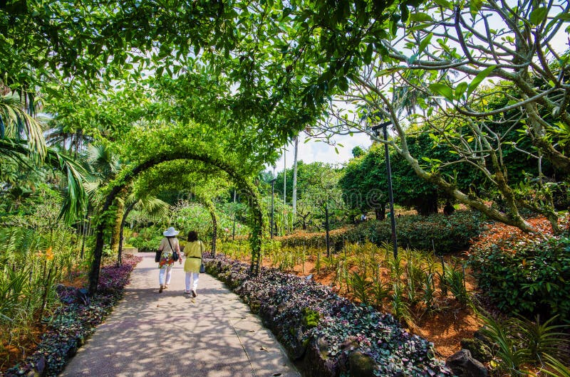 Walkway Path through the Garden Stock Image - Image of botanical ...