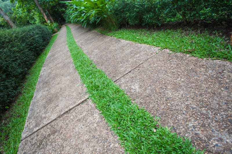 Walkway Path To Green Garden Stock Photo - Image of pathway, grass ...
