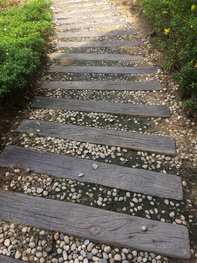 Walkway or Pathway in the Park and Sunlight. Stock Photo - Image of ...
