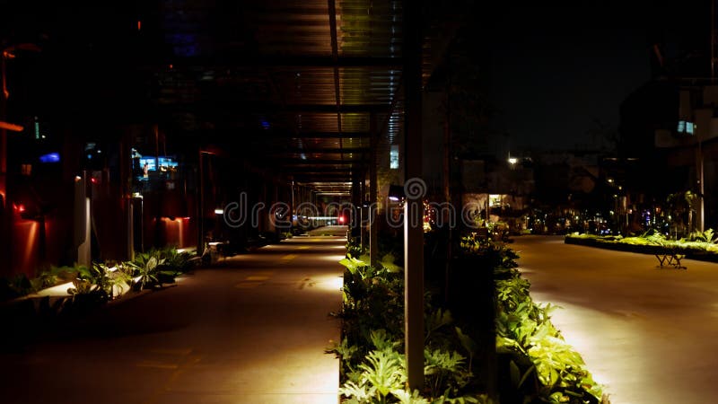 A Walkway with Plants and Lights in the Dark Stock Image - Image of ...