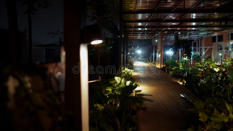 A Walkway with Plants and Lights in the Dark Stock Image - Image of ...