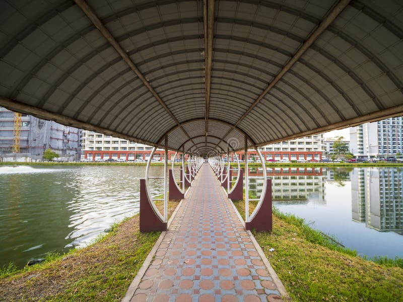 Walkway through the pond stock image. Image of landscape - 241789683