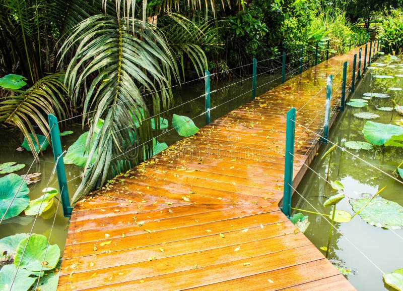 Walkway and a pond. stock image. Image of park, peaceful - 45342263