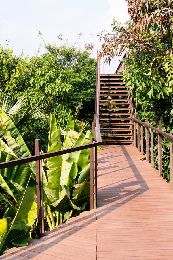 Walkway Lane in Parking Building. Painted Yellow Footsteps between ...
