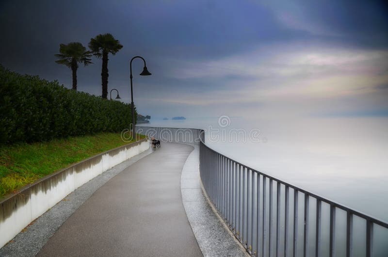 Walkway with Railing on the Waterfront Stock Photo - Image of animal ...