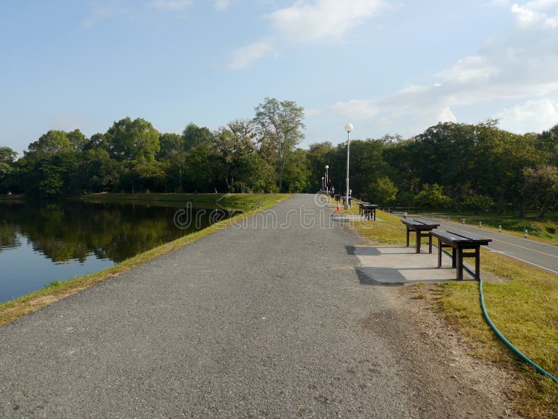 Walkway stock photo. Image of park, nature, side, clearness - 91310088