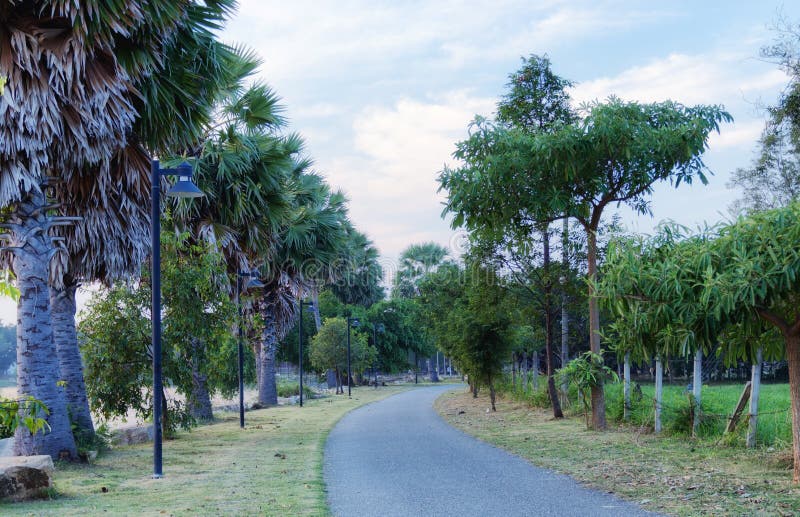 Walkway or Running Way in the Park Stock Image - Image of scenery ...