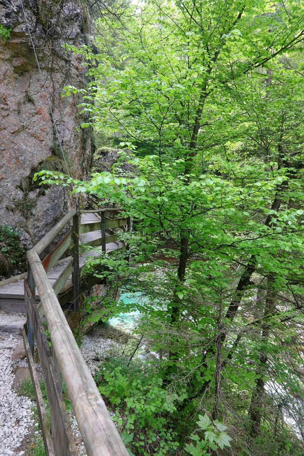 Walkway that Runs Along the Mountain Stream Passing through the Rocks ...