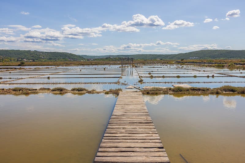 A Walkway into the Saltworks of Sicciole Stock Photo - Image of people ...