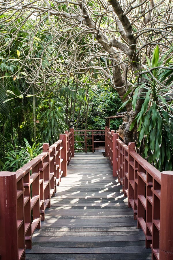 Walkway on Second Floor Surrounded by Trees. Stock Image - Image of ...