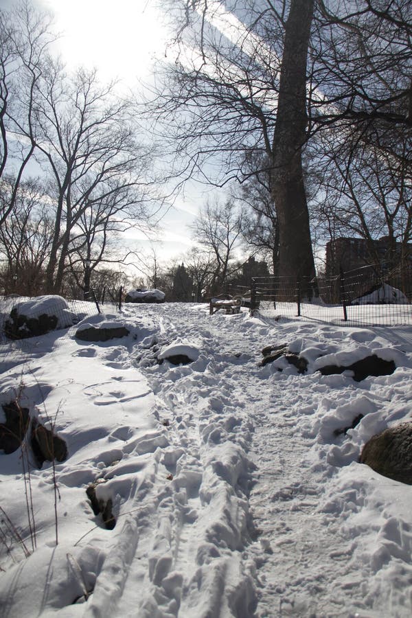 Walkway on Snow at Park in Winter Stock Image - Image of landscape ...