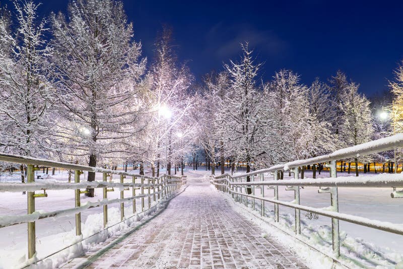 Walkway through a Snowy Winter Park Stock Photo - Image of sunrise ...