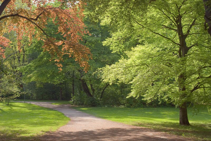 Walkway through Spring Scenery Stock Photo - Image of artistic, green ...
