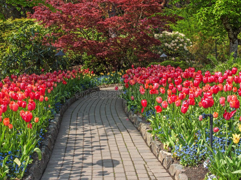 Walkway in a spring garden stock image. Image of pavement - 63124985
