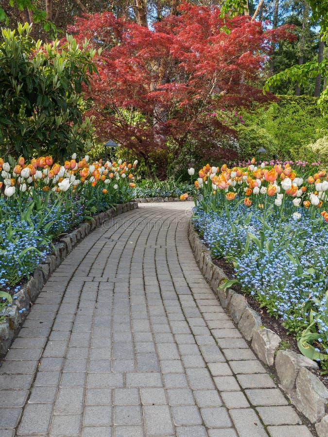 Walkway in a spring garden stock photo. Image of grass - 66053906