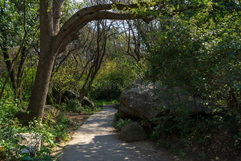 Walkway through Spring Scenery Stock Photo - Image of artistic, green ...
