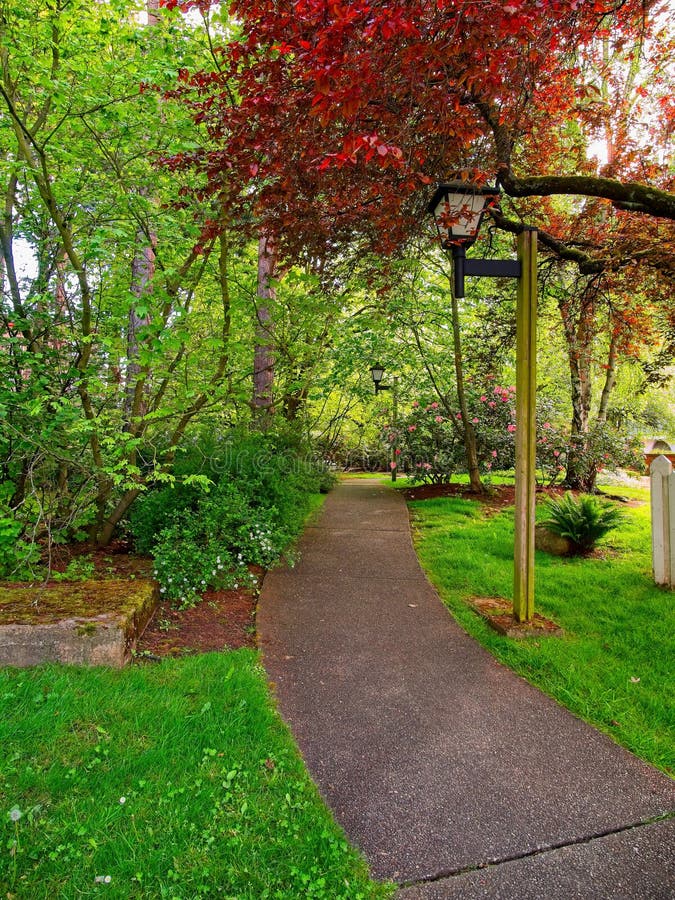 Walkway through Spring Blossoms Stock Photo - Image of lush, garden ...
