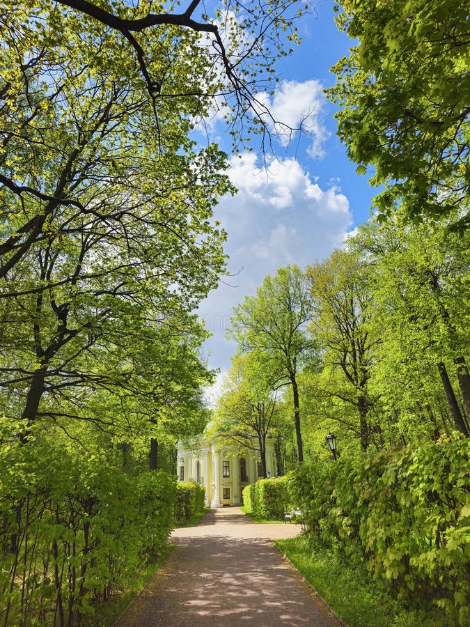 Walkway in the Spring the Park Stock Image - Image of alley, museum ...