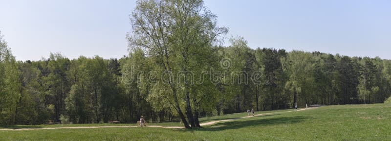 A walkway in a spring park stock photo. Image of sunlight - 93250894