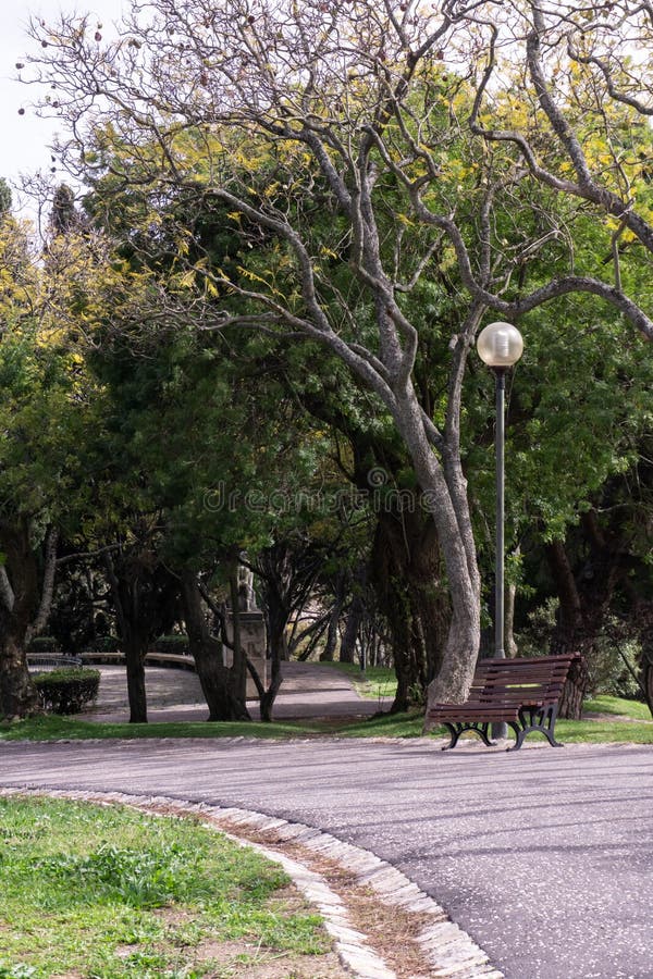 Walkway in a Spring Park with a Wooden Bench and a Lamppost Stock Photo ...