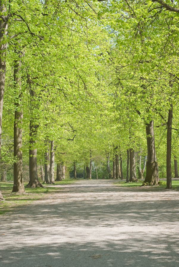 Walkway through Spring Scenery Stock Photo - Image of artistic, green ...