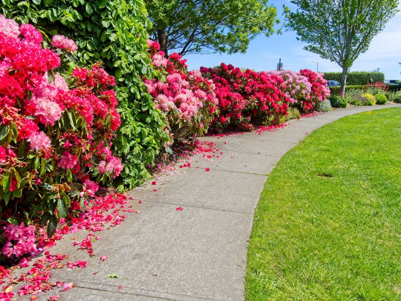 Walkway in the spring stock photo. Image of island, outside - 213924862